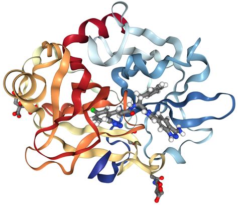 Factor Xi General Information Sino Biological