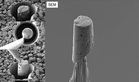 X Ray Nanotomography For Advanced Materials And Battery Research Applications