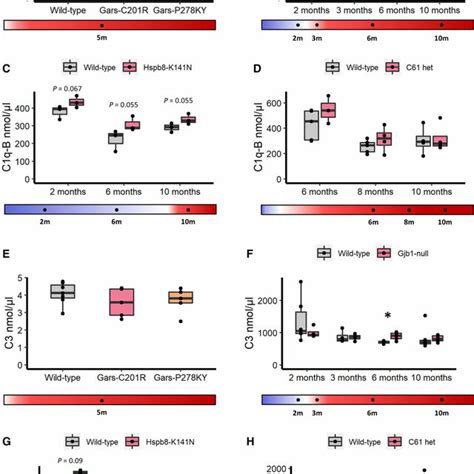 Serum Complement C1q B Analysis In Mice A Control N 7 Gars C201r Download Scientific