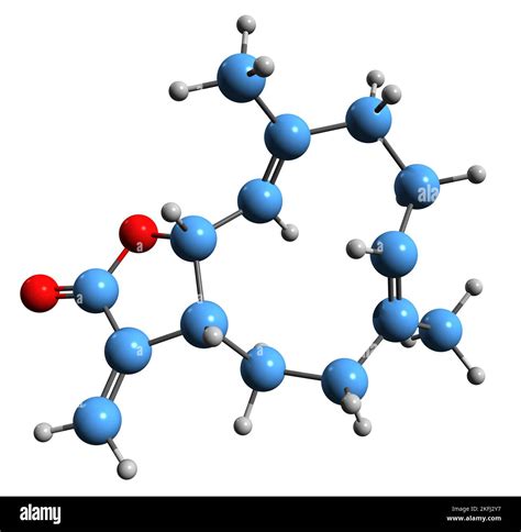 3d Image Of Costunolide Skeletal Formula Molecular Chemical Structure