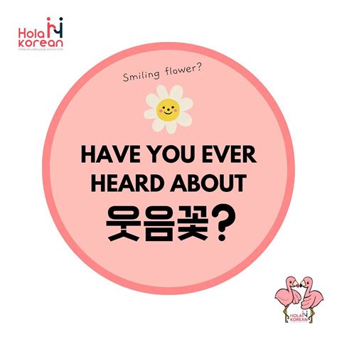 한국에는 ‘꽃을 이용해서 만든 귀여운 올라코리안 Korean Class With Tutors Facebook