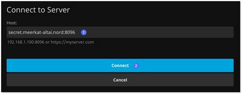 how to configure and access a jellyfin media server remotely meshnet docs