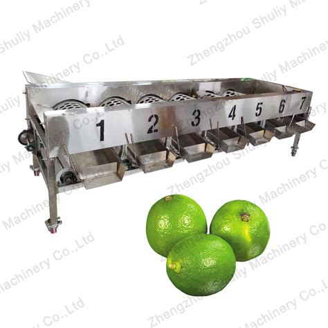 Tomato Sorting Machine Orange Lemon Sorting Machine Roller Classifier From Sophia Tomato
