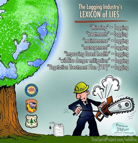 The Logging Industry Lie Forest “management” Treespirit Project Raising Awareness Of The