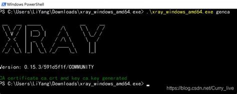 burpsuite xray梦幻联动（超详细版） xray burpsuite csdn博客