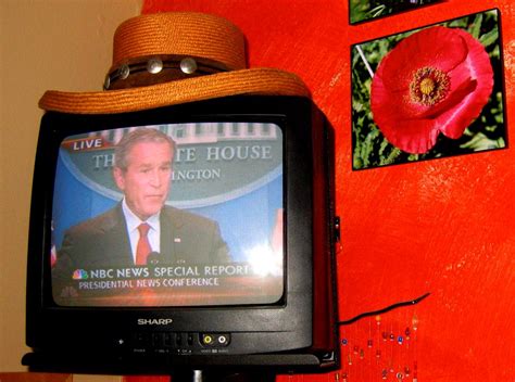 More Convincing In A Pretty Hat Free Photos On