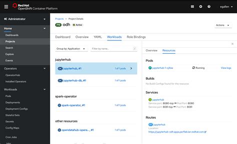 open data hub v0 5 1 release erwan gallen s blog