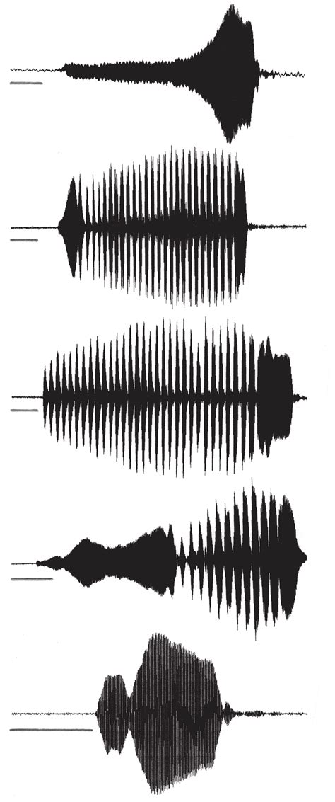 Oscillogram Of Call Series A And Five Extracted Oscillograms B F Of Download Scientific