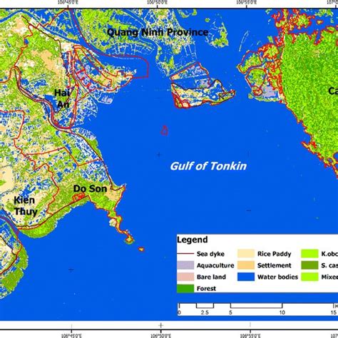 Mangrove Species Distribution Of Hai Phong In 2010 Download Scientific Diagram