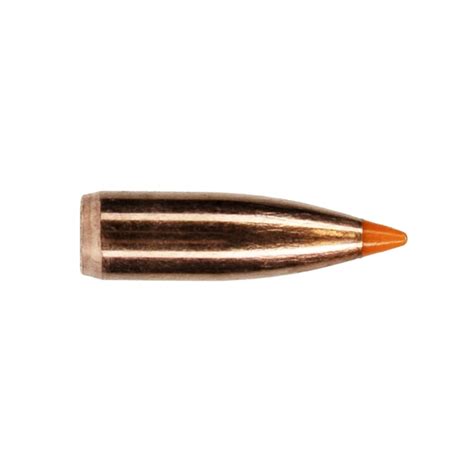 Nosler Bullets Eurooptic