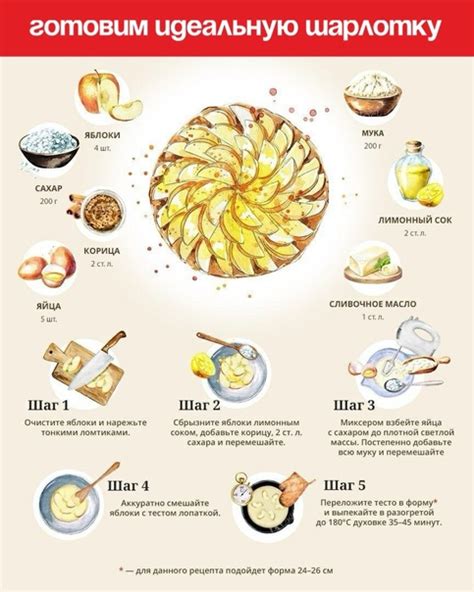 Шарлотка — это простой и популярный яблочный пирог приготовленный из яиц сахара муки и яблок