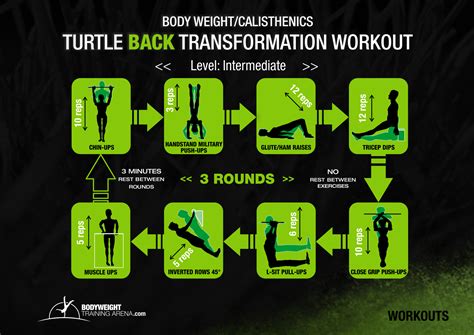 Back Calisthenics Bodyweight Training Arena