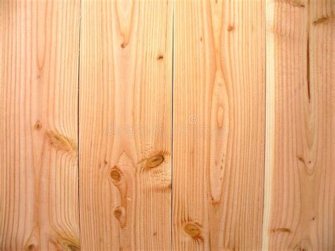 Tree Texture Stock Image Image Of Trees Wallpaper Details