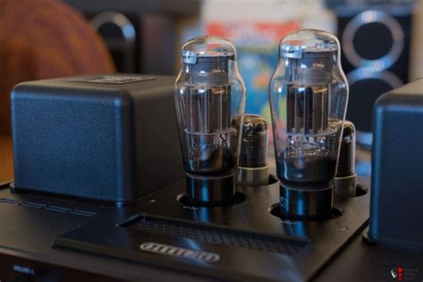 Darkvoice 337 Tube Otl Headphone Amplifier Photo 1924542 Us Audio Mart