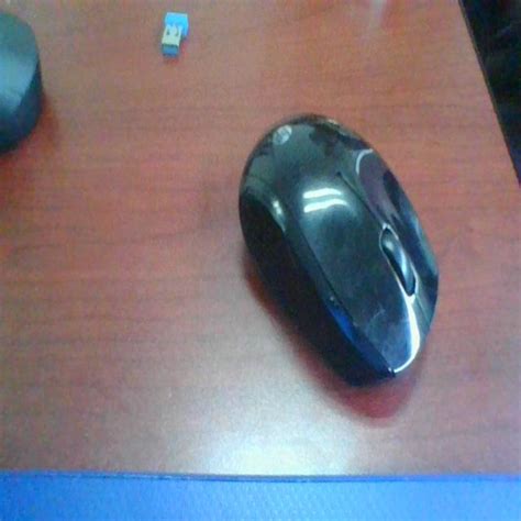 Mouse Detection Model Object Detection Dataset And Pre Trained Model By Mustang