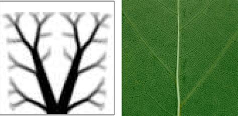 Optimal Heat Conduction Topology Obtained Using Simp Left Note Dark