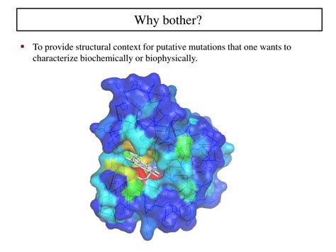 Ppt Prediction Of Protein Structure In 1d Powerpoint Presentation Free Download Id2139911