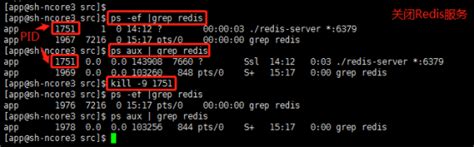 redis如何查看服务状态、关闭和启动 查看redis状态 csdn博客