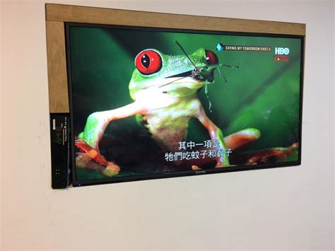 第六感空靈創作畫 這個節目是教導兒童 如何從本身做起 愛地球 除了讓兒童了解每種 生物對人的重要 且實際去執行