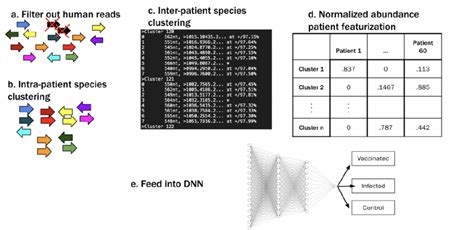 preprocessing of genetic samples into bacterial species features