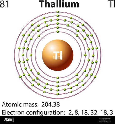 Symbol And Electron Diagram For Thallium Stock Vector Image And Art Alamy