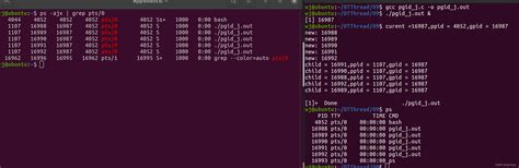 Linux进程层次分析 Csdn博客