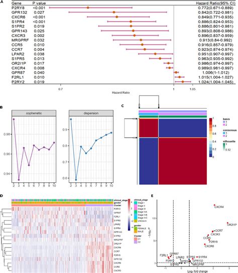 Identification Of Gpcr Based Molecular Subtypes Via Nmf Method