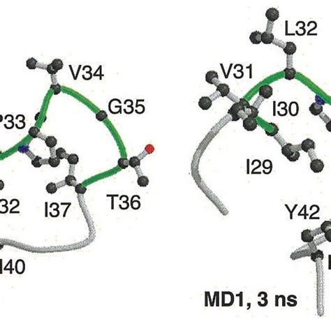 Hydrophobic Clustering Near The Center Of The Sequence The Main Chain