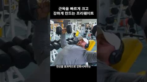 3대 운동을 반드시 하라고 하는 이유 스쿼트 데드리프트 벤치프레스 Youtube