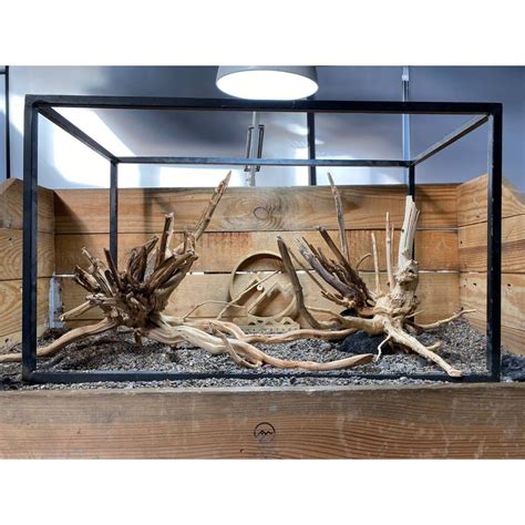 Korene Do Akvária Všetko čo Potrebujete Vedieť Korene Do Akvária Všetko čo Potrebujete Vedieť