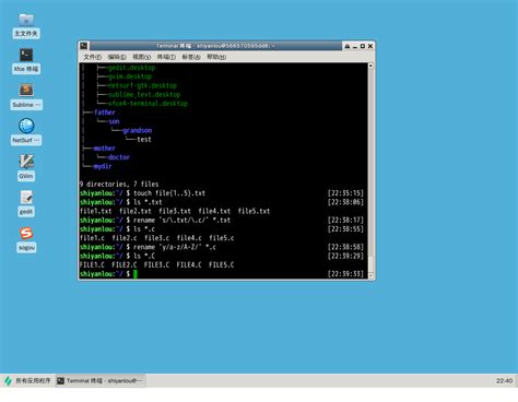 Linux 目录结构及文件基本操作 蓝桥云课 Linux 目录结构及文件基本操作 蓝桥云课