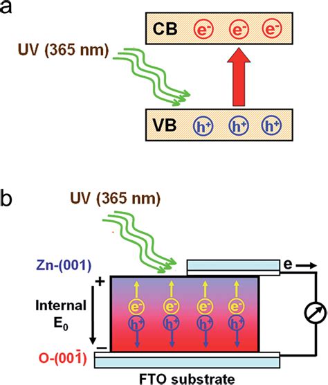 A Generation Of The Photogenerated Electrons And Holes B Flow Of