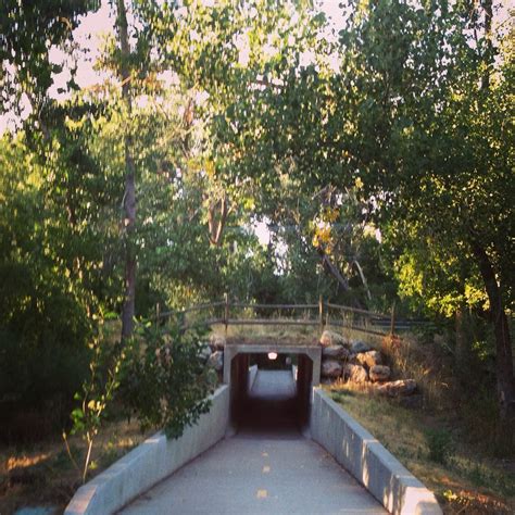 Underpass Sidewalk Summer Structures