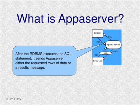 Structured Database Running On Appaserver Ppt Download