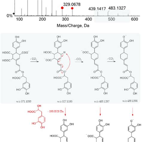 Tof Ms Ms Spectrum Of Compound 40 And Its Hypothesized Main Download Scientific Diagram
