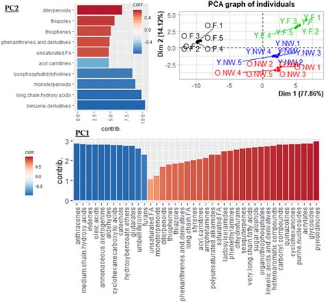 Classification Based Pca Pc1 And Pc2 We Ran A Pca With The Download Scientific Diagram