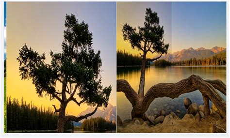 React放大镜组件用react框架写放大镜组部件 Csdn博客 React放大镜组件用react框架写放大镜组部件 Csdn博客