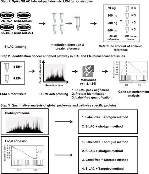 Flowchart Summarizing The Experimental Design Of Systematic Comparison