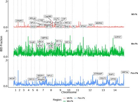 genome wide distribution of identity by descent ibd fractions across