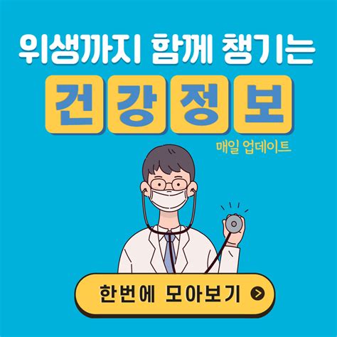 건강 정보 총정리분야별 12종 Vividus