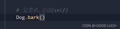 Python方法的重写python 方法重写 Csdn博客