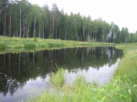 Красный Маяк