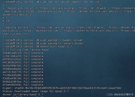 【一步解决】docker国内pull失败，镜像源dockerpull失败 国内 Csdn博客
