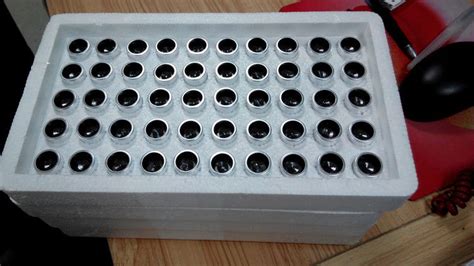 China Customized Ultrasonic Sensor Assembly Manufacturers Factory