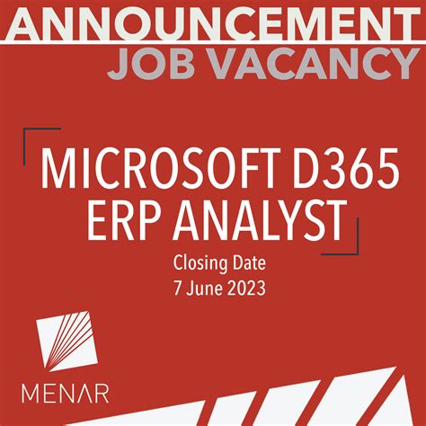 Microsoft D365 Erp Analysts X2 — Menar
