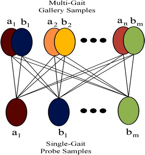 Depicts The Classification Process Of Multi Gait Identification Each Download Scientific