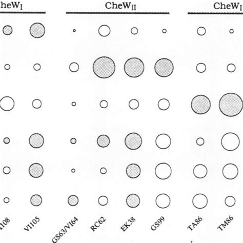 Summary Of Chew Tsr Suppression Patterns The Swarm Rates Of The Download Scientific Diagram