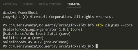 lightning lwc sfdx unable to retrieve lwc files salesforce stack