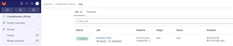 Run Cross Browser Tests In GitLab CI CD QA Automation Expert