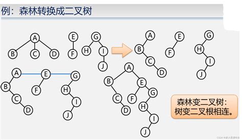 二叉树、树、森林的相互转换 笔记 树变森林 csdn博客